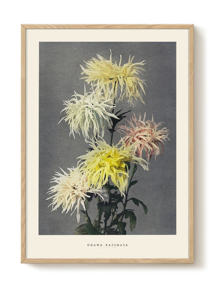 Ogawa Kazumasa - Nami-chi-dori | PSTR studio