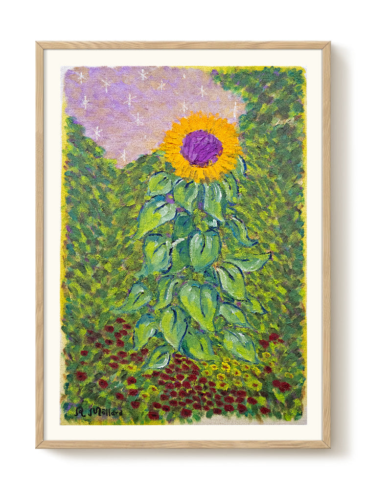 Robert Möllard - Sunflower | PSTR studio