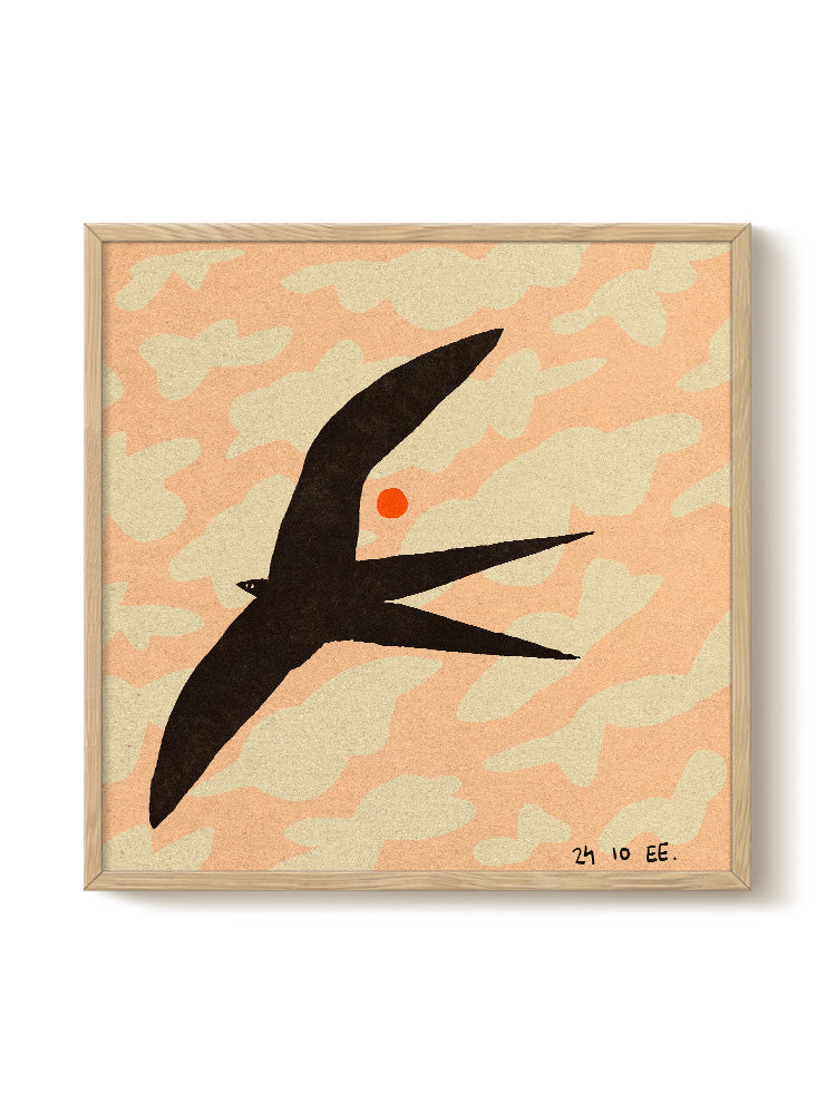 Enikő Eged - Swalow bird in the golden hour | PSTR studio