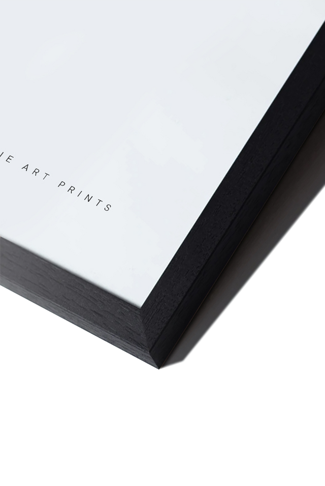 Frames | PSTR studio