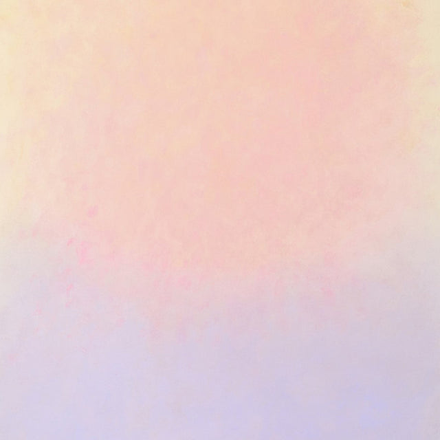 Meet the artists | PSTR studio