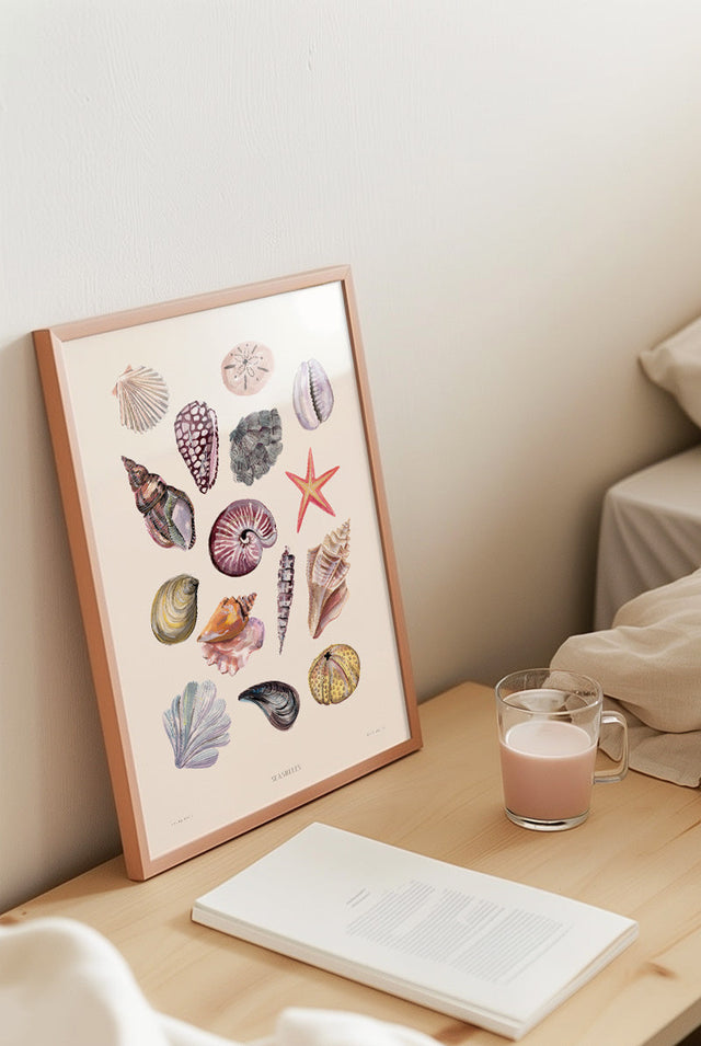 Laura - Seashells | PSTR studio