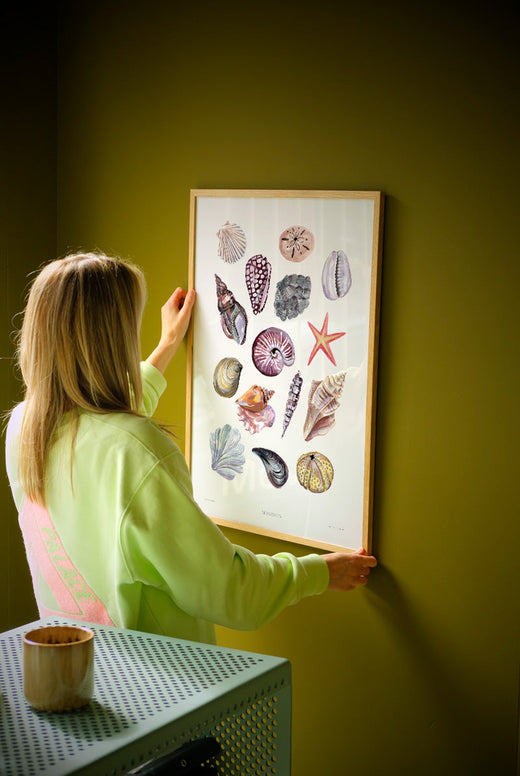 Laura - Seashells | PSTR studio