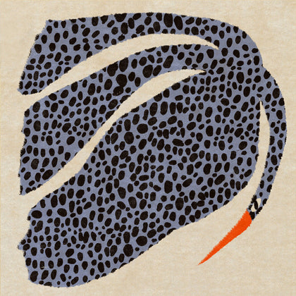 Enikő Eged - Spotted Bird | PSTR studio