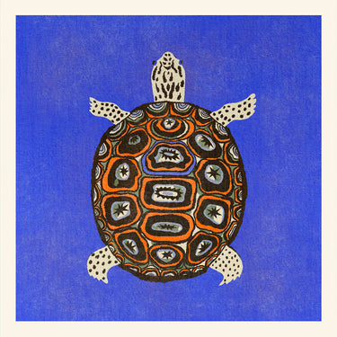 Enikő Eged - Turtle Blue | PSTR studio