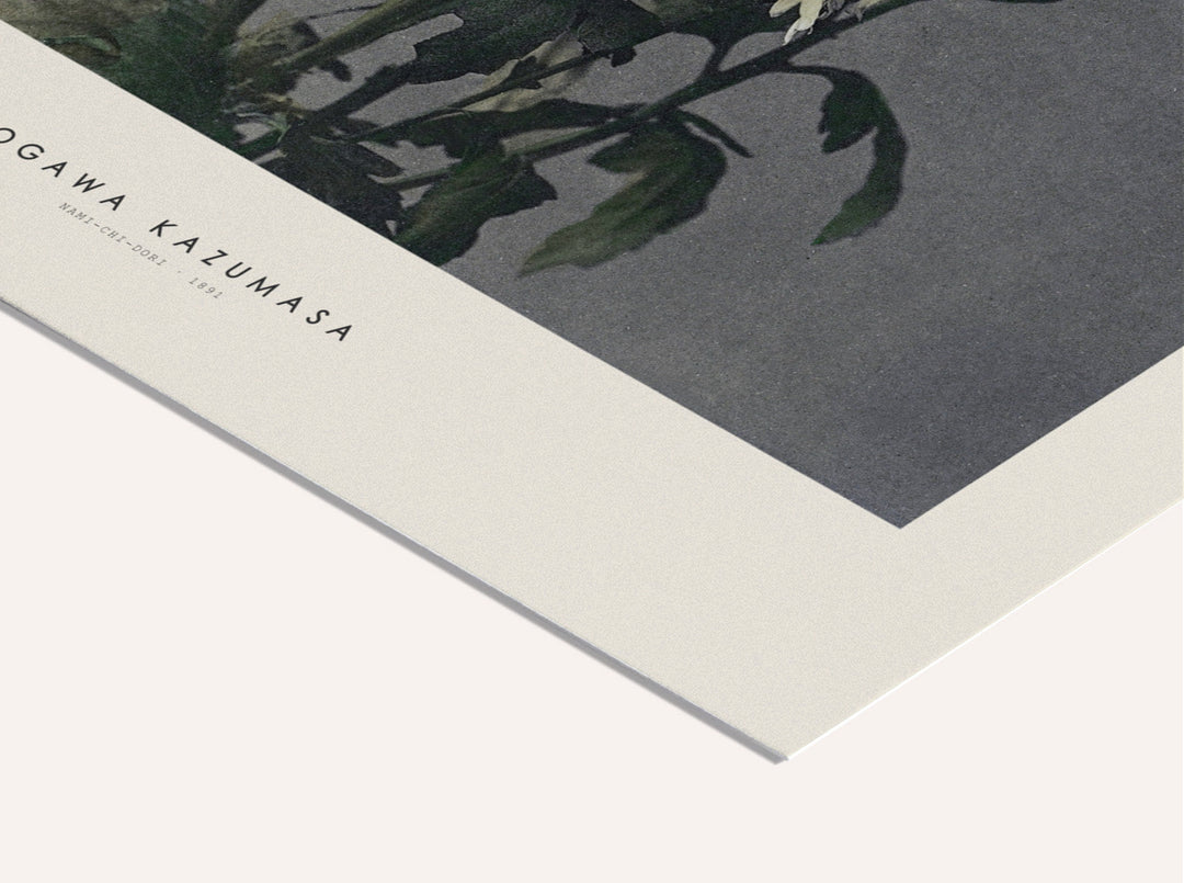 Ogawa Kazumasa - Nami-chi-dori | PSTR studio