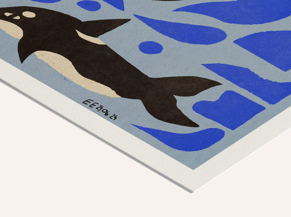 Enikő Eged - Orca | PSTR studio
